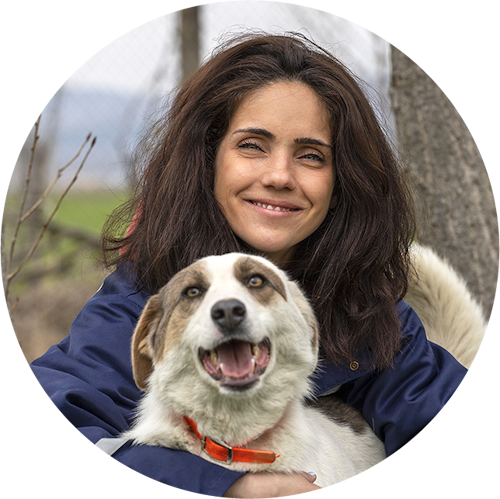 Meet Our Team – Every Dog Matters