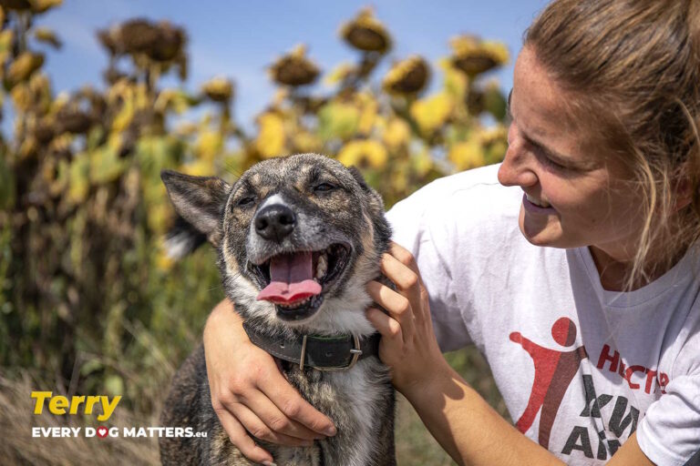 Terry – Every Dog Matters EU