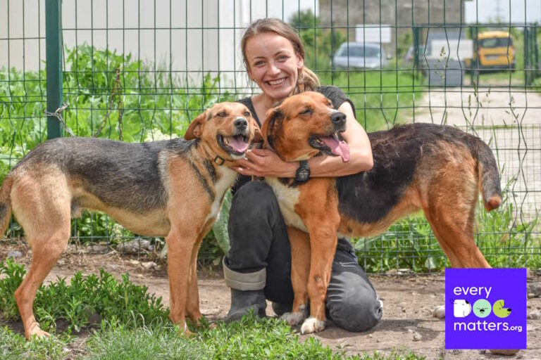 Carlos – Every Dog Matters EU