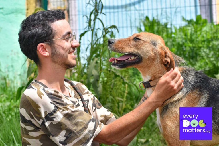 Carlos – Every Dog Matters EU